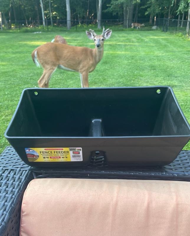Little Giant 9 Quart Heavy Duty Feed Trough Bucket Fence Feeder Black ...