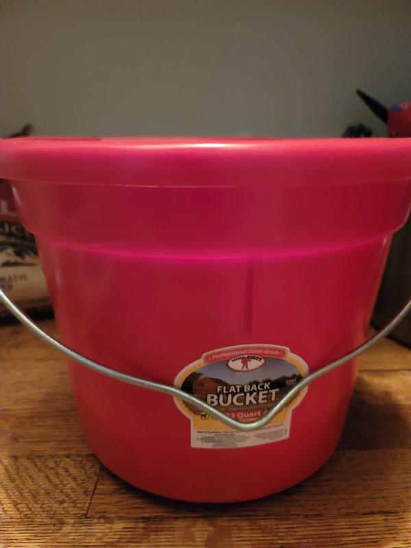 Little Giant 22 Quart Flat Durable Plastic Animal Feed Bucket w/ Knob ...
