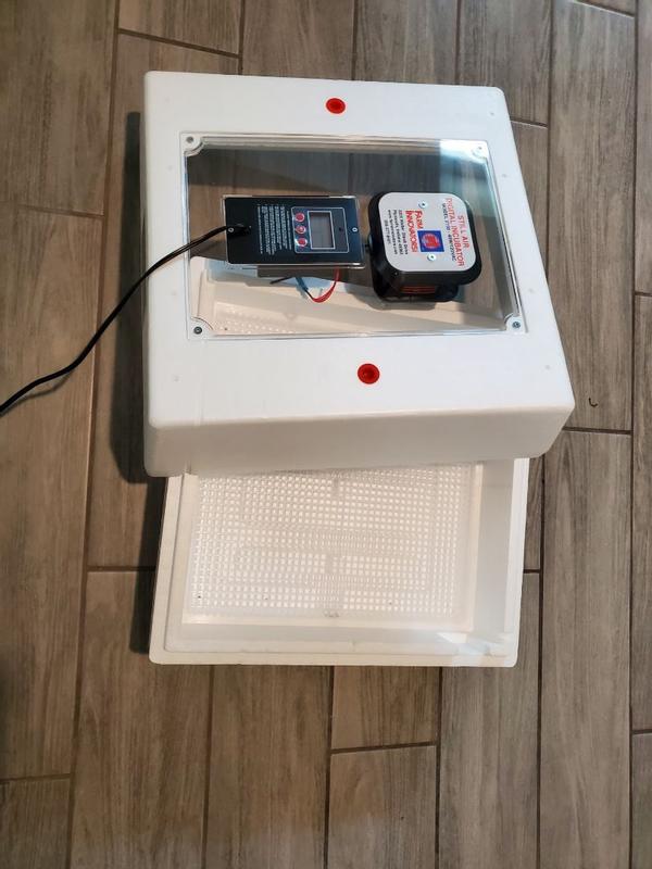 Farm Innovators White Plastic Incubator in the Chicken Coops & Rabbit ...