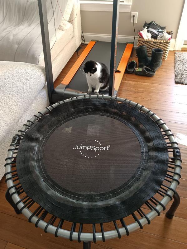 JumpSport 41-ft Round Fitness in Black 168414 at Lowes.com