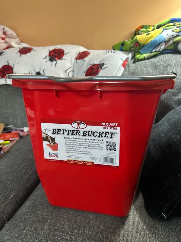 Little Giant 20-Quart Durable Plastic Flat Back Livestock Feed Bucket ...