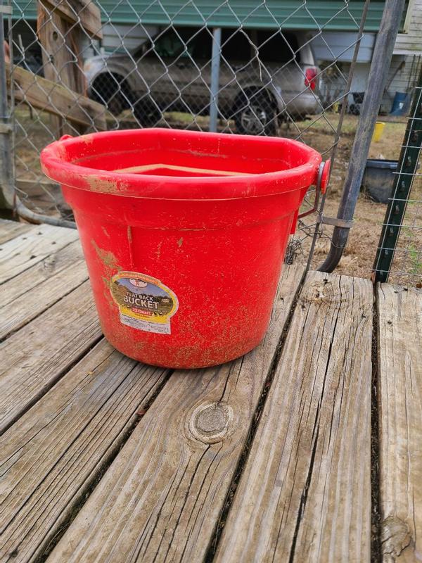 Little Giant 22 Quart Flat Durable Plastic Animal Feed Bucket w/ Knob ...