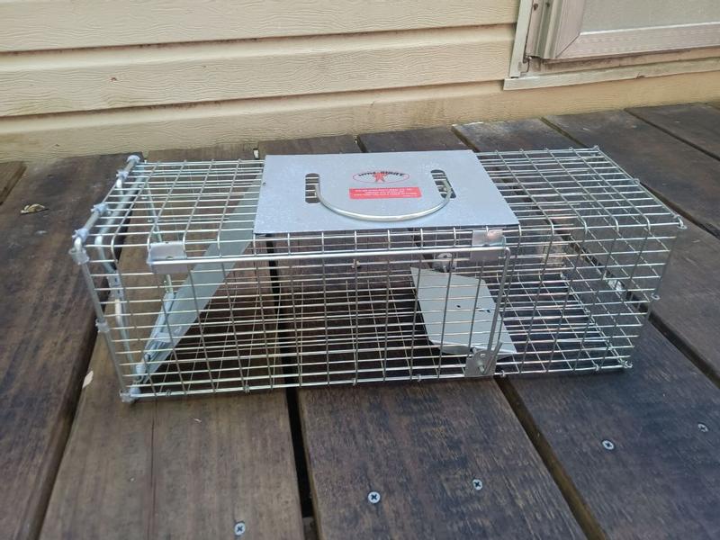 Little Giant LT1 18 Inch Reinforced Live Animal Trap with Single Door ...