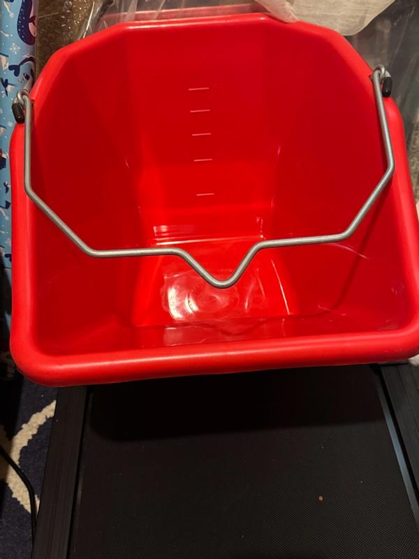 Little Giant 20-Quart Durable Plastic Flat Back Livestock Feed Bucket ...