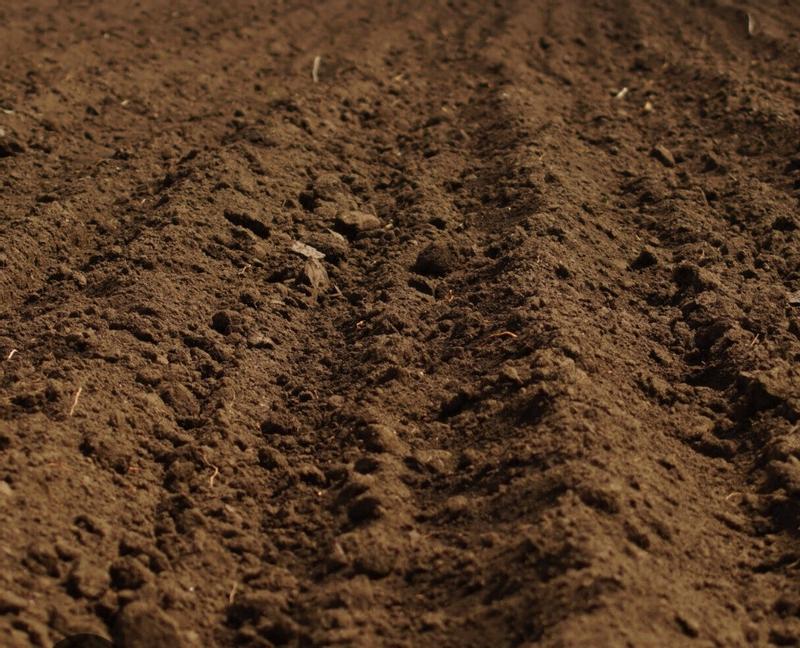 Field Tuff 43 in. 3-Point Garden Bedder and Hiller at Tractor Supply Co