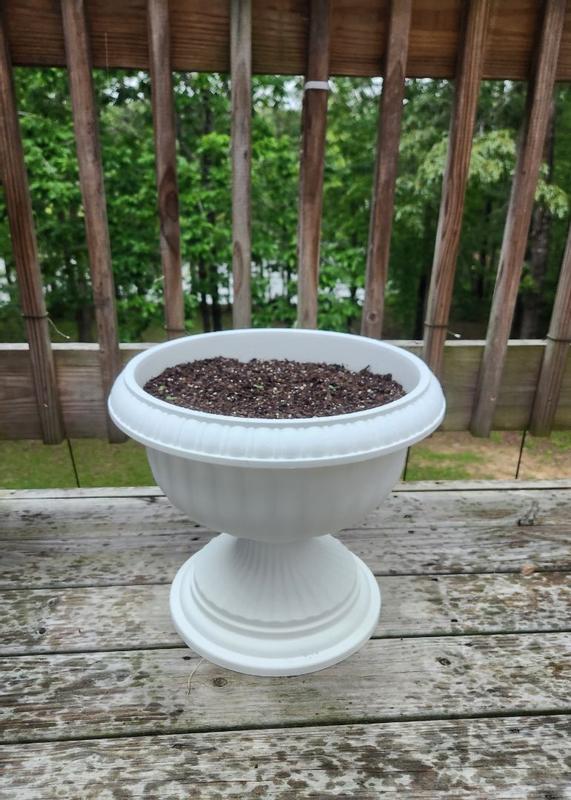Southern Patio Dynamic Design Outdoor 18 In Resin Grecian Urn Planter ...