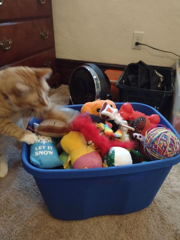 Homz Products HOMZ 10 Gallon Heavy Duty Plastic Storage Container Capri ...