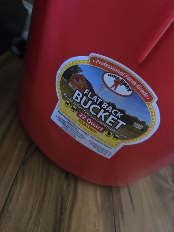 Little Giant 22 Quart Flat Durable Plastic Animal Feed Bucket w/ Knob ...
