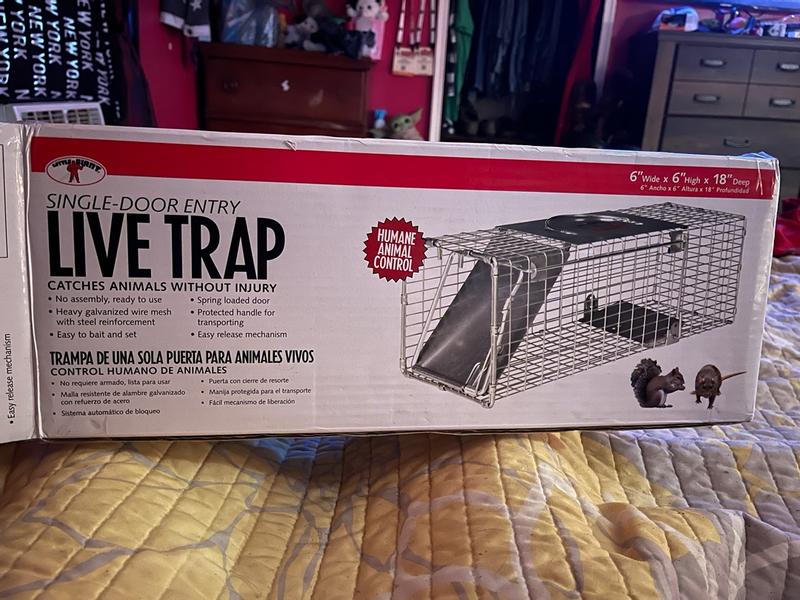 Little Giant LT1 18 Inch Reinforced Live Animal Trap with Single Door ...