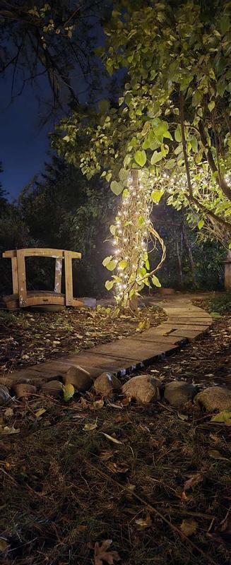 All Things Cedar 3-ft Natural Cedar Garden Bridge FB36-R at Lowes.com
