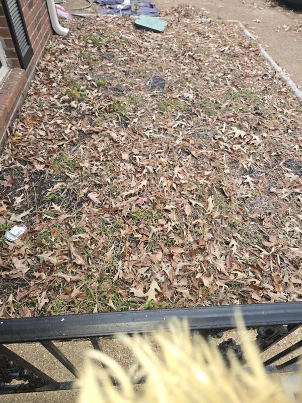 Spruce Snap and Spray Manual Starter Kit 64 -fl oz Trigger spray Weed ...