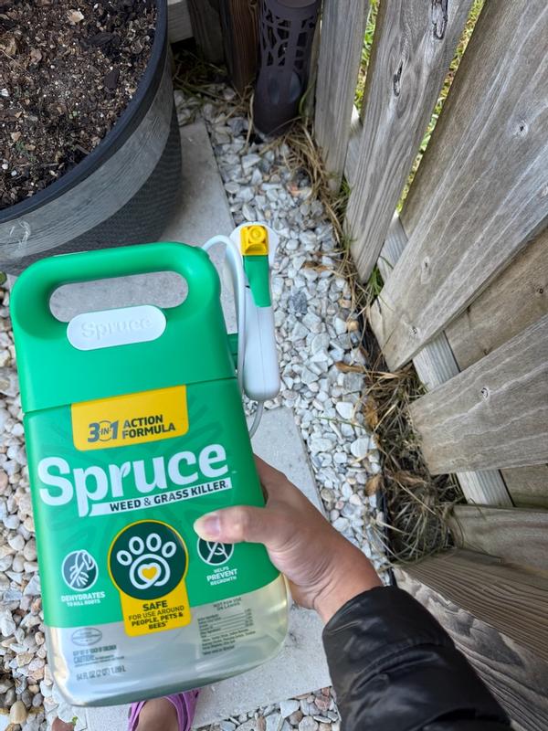 Spruce Snap and Spray Manual Starter Kit 64 -fl oz Trigger spray Weed ...