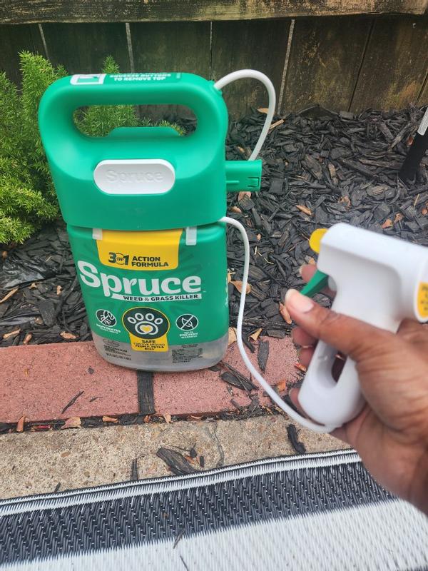 Spruce Snap and Spray Manual Starter Kit 64 -fl oz Trigger spray Weed ...