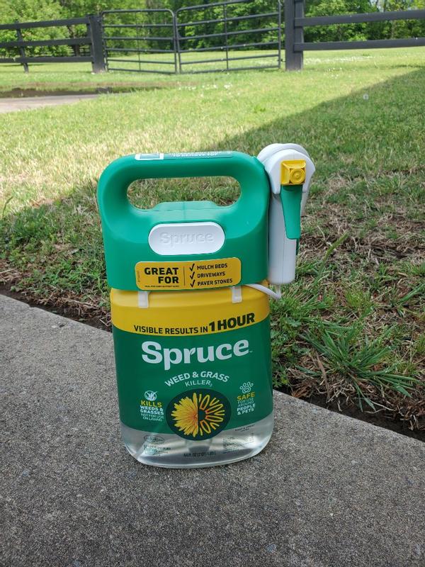 Shop Spruce Snap and Spray Manual Starter Kit + Refill Weed and Grass ...