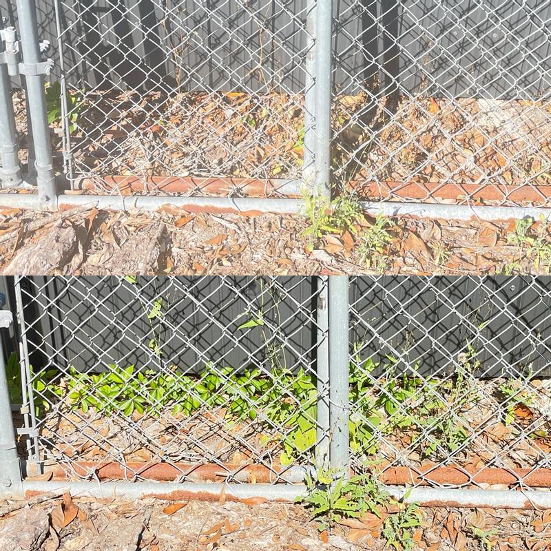 Spruce Snap and Spray 64 -fl oz Refill Weed and Grass Killer in the ...