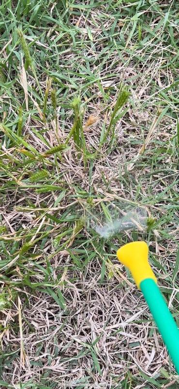 Shop Spruce Snap and Spray Powered Starter Kit + Refill Weed and Grass ...