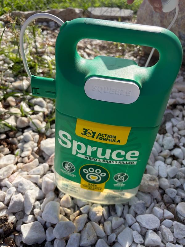 Spruce Snap and Spray Manual Starter Kit 64 -fl oz Trigger spray Weed ...