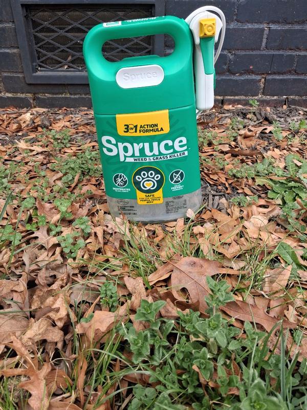Spruce Snap and Spray Manual Starter Kit 64 -fl oz Trigger spray Weed ...