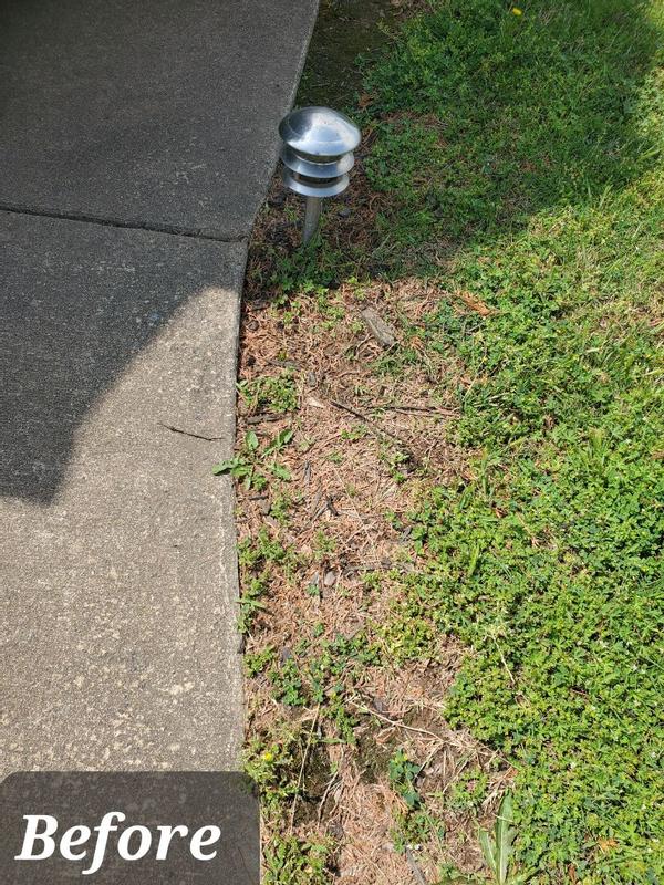 Spruce Snap and Spray 64 -fl oz Refill Weed and Grass Killer in the ...