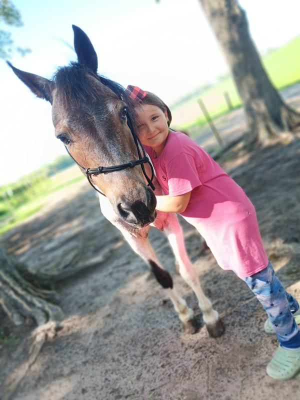 Standlee Premium Western Forage Certified Timothy Grass Hay Pellet ...