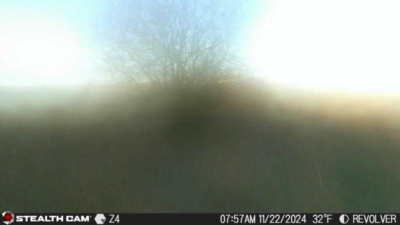 Stealth Cam 36 MP Revolver 360 Degree AT&T/Verizon Cellular Trail ...