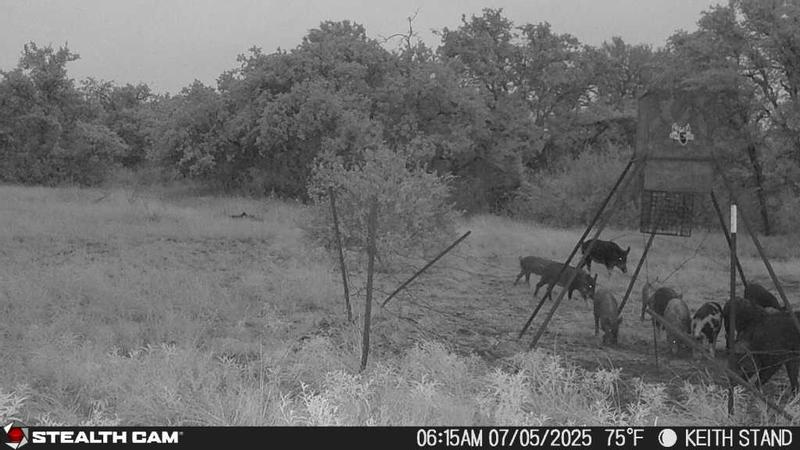 Stealth Cam Revolver Pro 2.0 at Tractor Supply Co