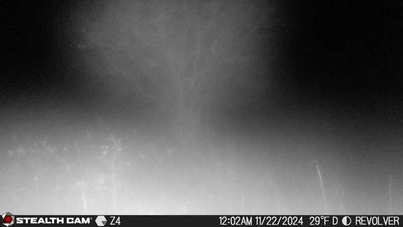 Stealth Cam 36 MP Revolver 360 Degree AT&T/Verizon Cellular Trail ...