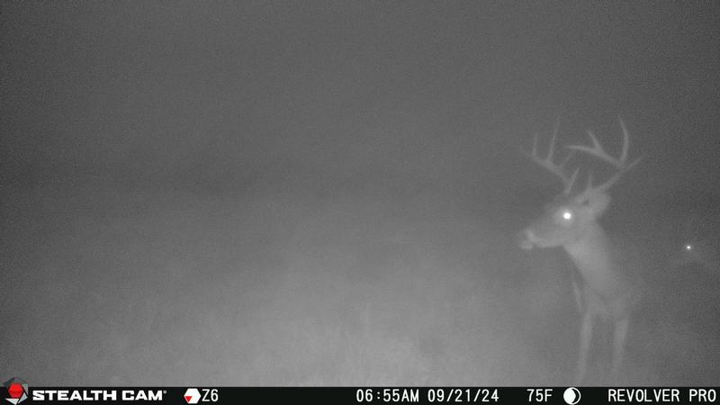 Stealth Cam 36 MP Revolver 360 Degree AT&T/Verizon Cellular Trail ...