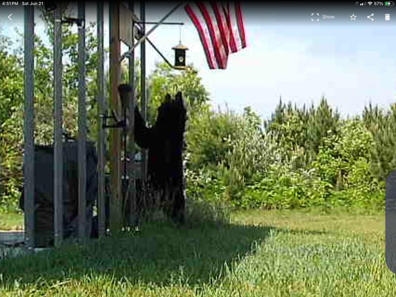 Stealth Cam Revolver Pro 360 Degree Cellular Camera at Tractor Supply Co