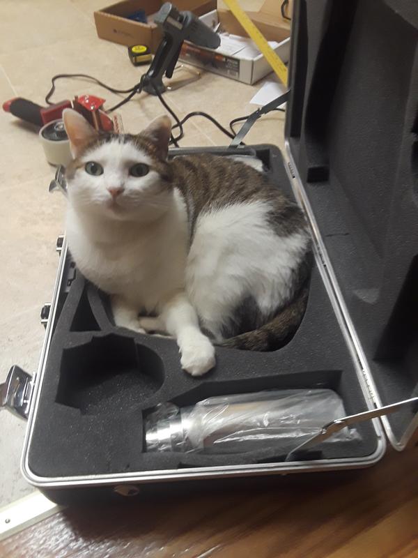 Stella & Chewy's Freeze-Dried Raw Dinner Morsels Protein Rich Chick ...