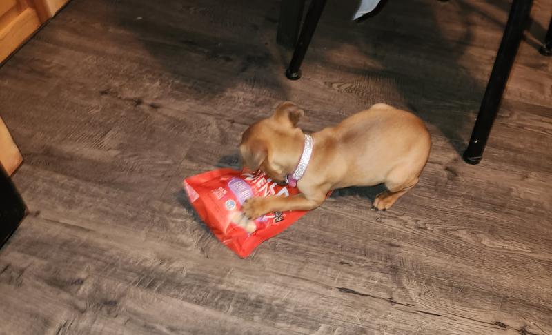 Stella & Chewy's Freeze-Dried Raw Marie's Magical Dinner Dust Meal What ...