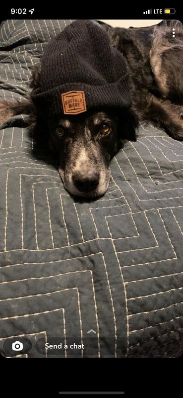 Stella & Chewy's Freeze-Dried Raw Marie's Magical Dinner Dust Meal What ...