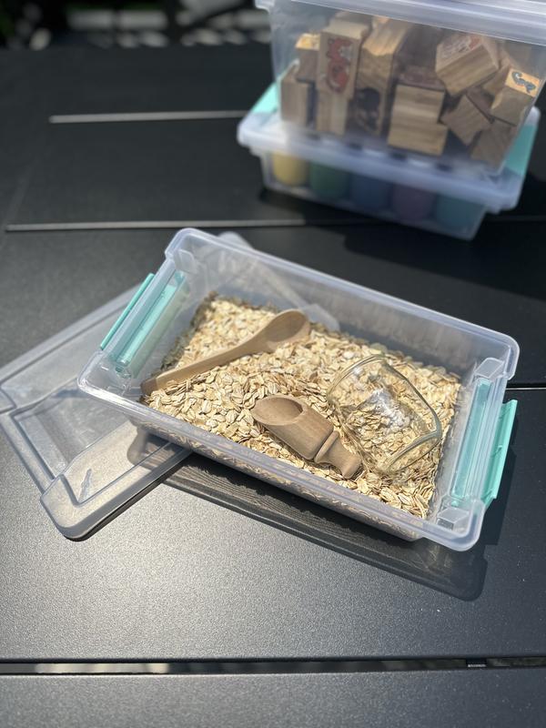 Sterilite 6 -Pack Clip Boxes Large 1.421 -Gallons ( 5.68 -Quarts ...