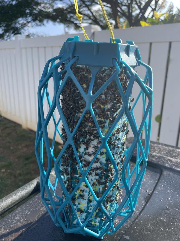 RESCUE! RESCUE Odorless Deck and Patio Fly TrapStik Effective Pest ...