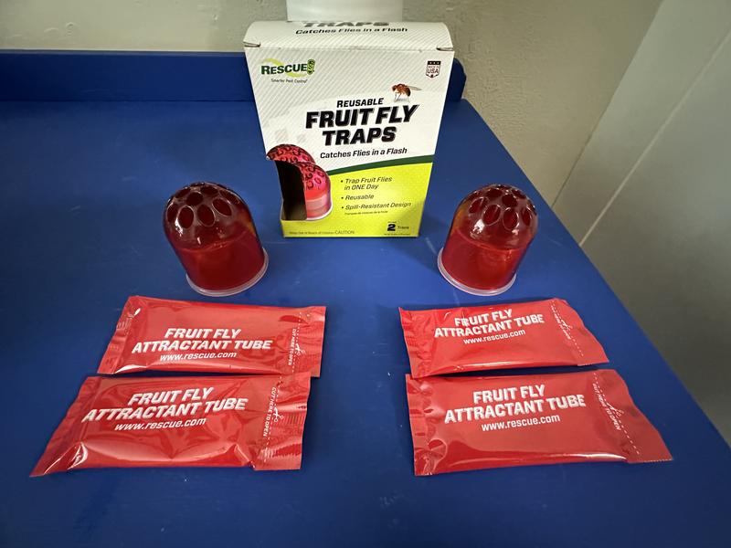 RESCUE! RESCUE Fruit Fly Trap – Reusable Indoor Insect Trap with Food ...