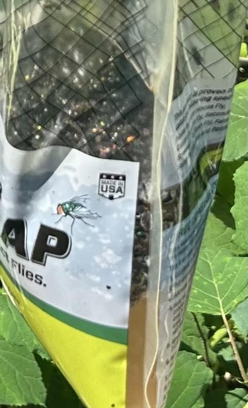 RESCUE! RESCUE Fruit Fly Trap – Reusable Indoor Insect Trap with Food ...