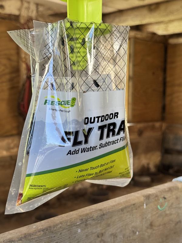 RESCUE! RESCUE Fruit Fly Trap – Reusable Indoor Insect Trap with Food ...