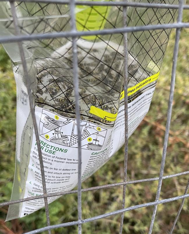 RESCUE! Disposable Yellowjacket Outdoor Insect trap in the Insect Traps ...