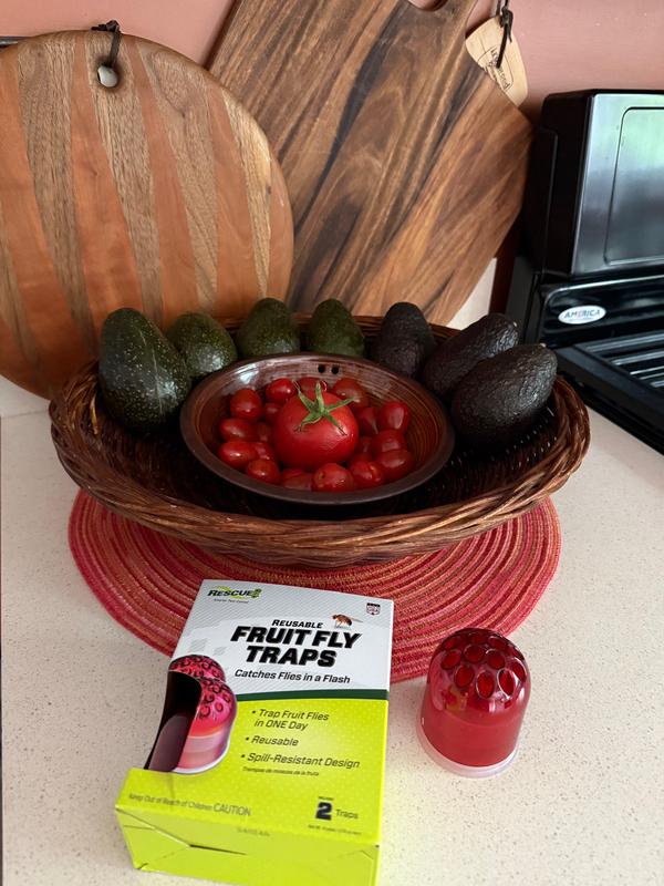 RESCUE! RESCUE Fruit Fly Trap Bait Refill – 30 Day Supply in the Insect ...