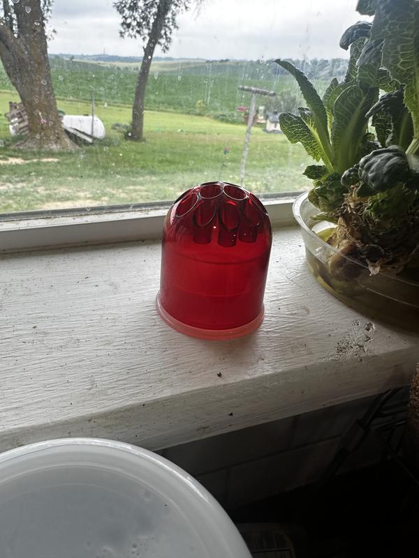 RESCUE! RESCUE Fruit Fly Trap – Reusable Indoor Insect Trap with Food ...