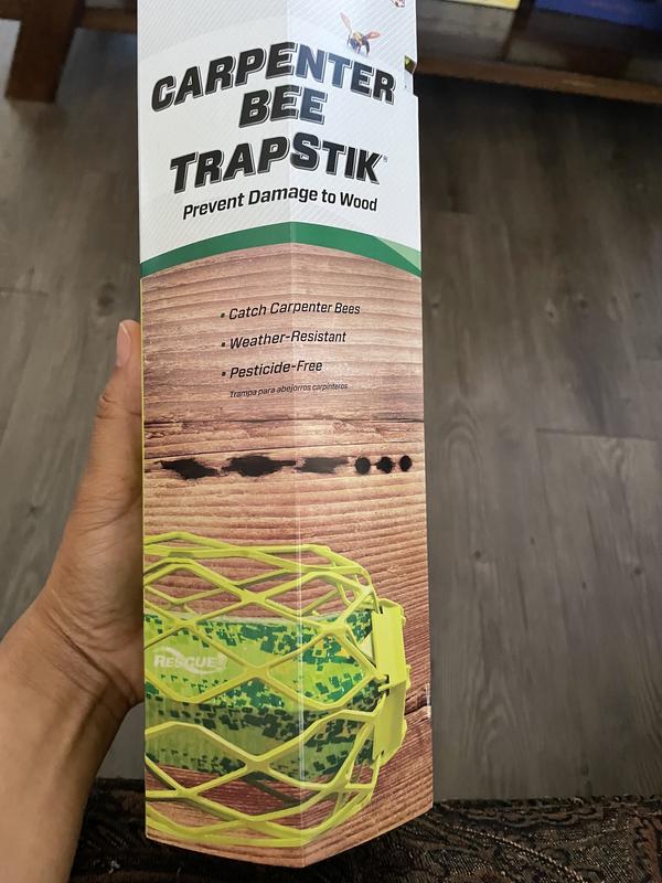 RESCUE! TrapStick Carpenter Bee Outdoor Insect Trap at Lowes.com