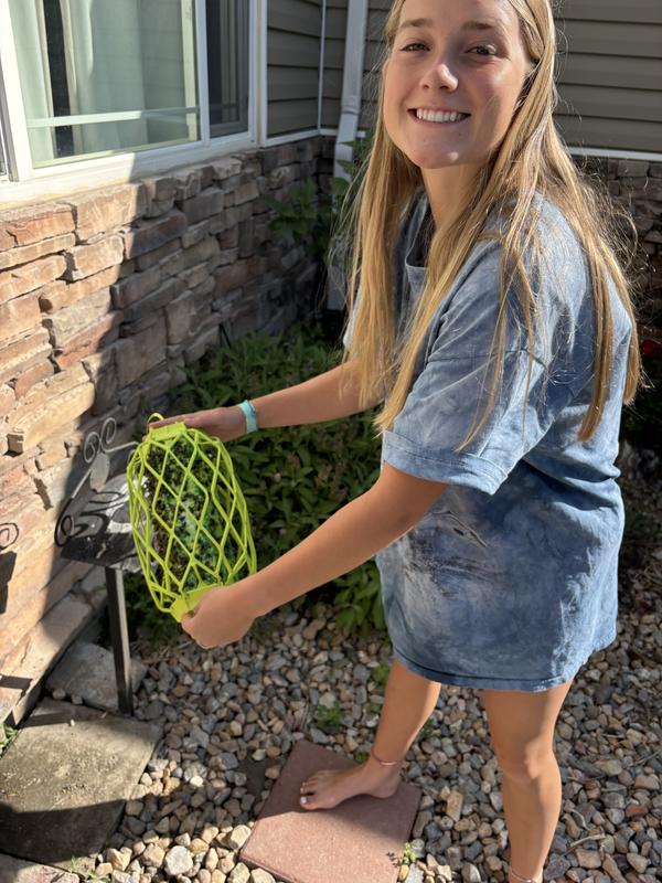 RESCUE! Wasp, Carpenter Bees, Mud Daubers Trapstick Outdoor Insect trap ...