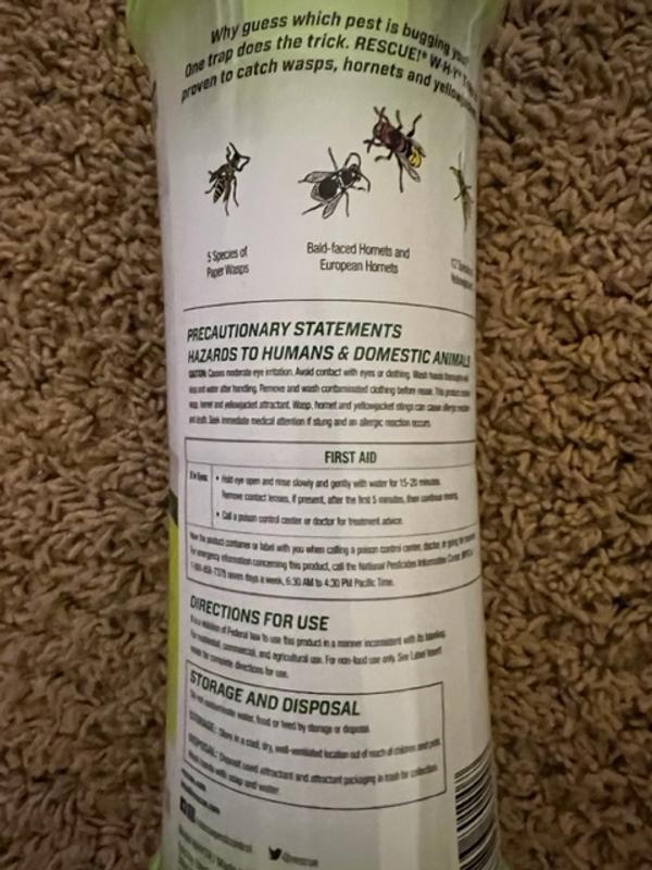 RESCUE! Trapstick Wasps, Mud Daubers and Carpenter Bees Outdoor Insect ...