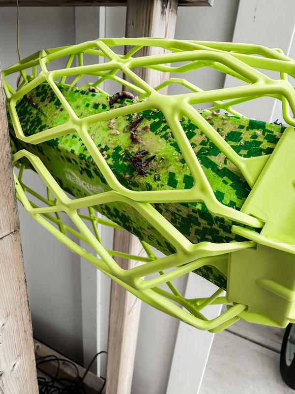 RESCUE! Wasps Trapstick Outdoor Insect Trap TSW-FD48 at Lowes.com