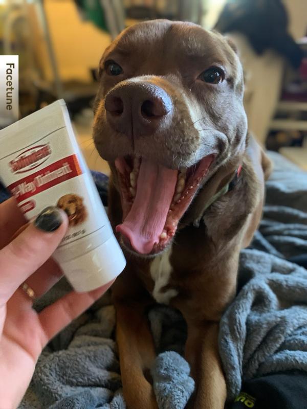 Sulfodene 3-Way Wound Treatment Dog Ointment, 2 oz. at Tractor Supply Co