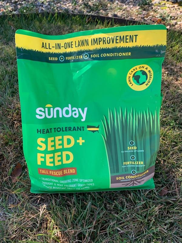Sunday Heat Tolerant Seed + Feed 10-lb Natural Mixture/Blend Grass Seed ...
