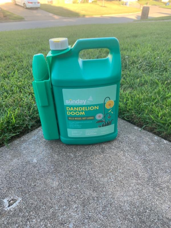 Sunday Dandelion Doom Broadleaf Herbicide Ready to Use Herbicide FP2051 ...