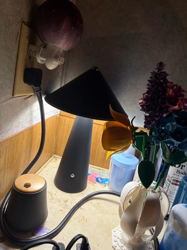 Livabliss Nomelle 13-in Brushed Black LED On/Off switch Table Lamp with ...