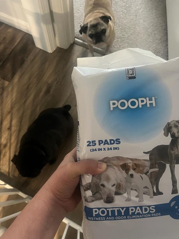 POOPH Potty Pads for Puppy, Count of 50 | Petco
