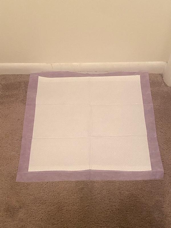 POOPH Potty Pads for Puppy, Count of 50 | Petco